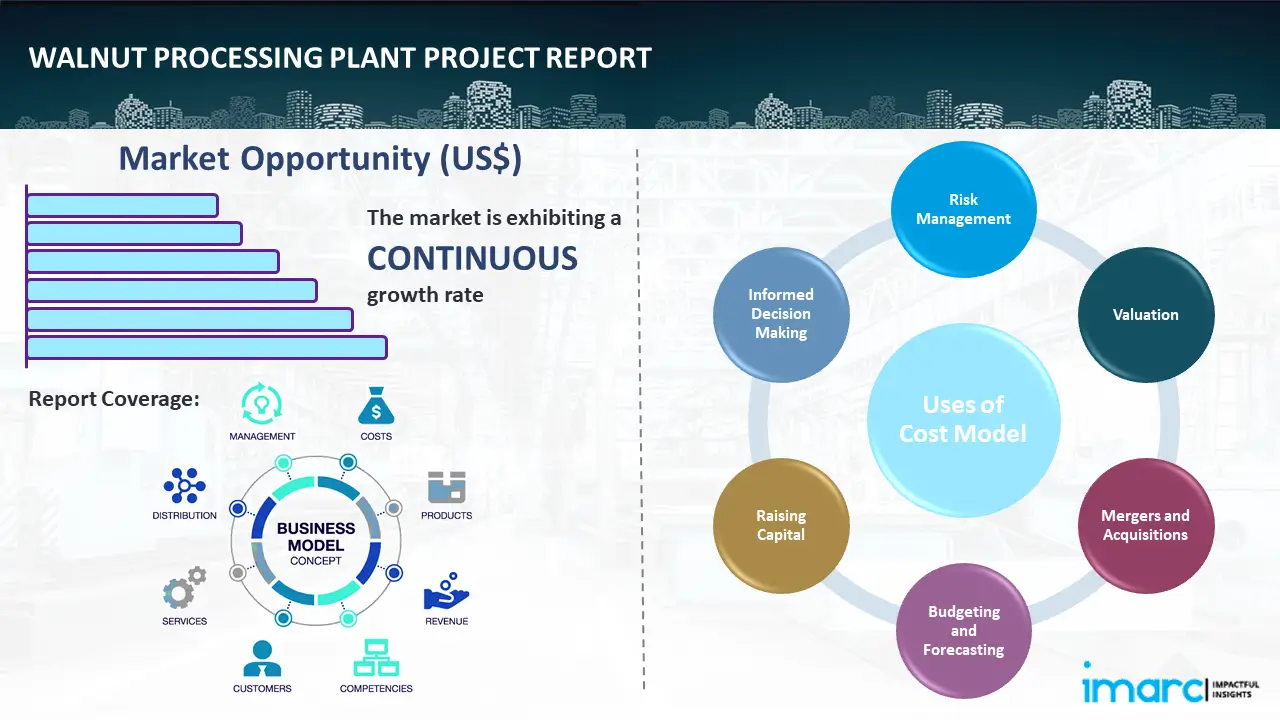 Walnut Processing Plant Project Report 2024: Setup Cost