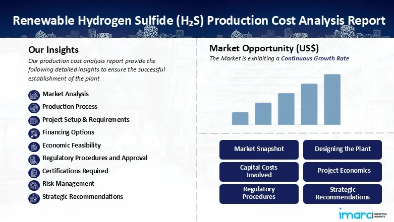 Renewable Hydrogen Sulfide (H₂S) production plant Report: Setup & Cost