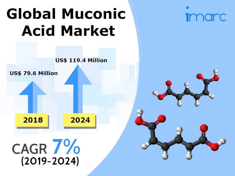 Global Muconic Acid Market to Reach US$ 119.4 Million by 2024