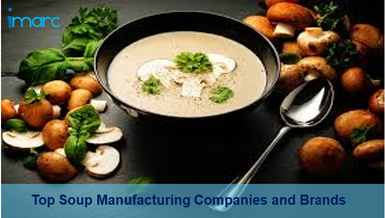 Top Soup Companies and Brands Worldwide - IMARC Group