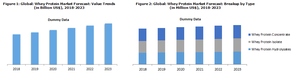 Whey Protein Market Share, Size, Trends and Forecast (2018-2023)
