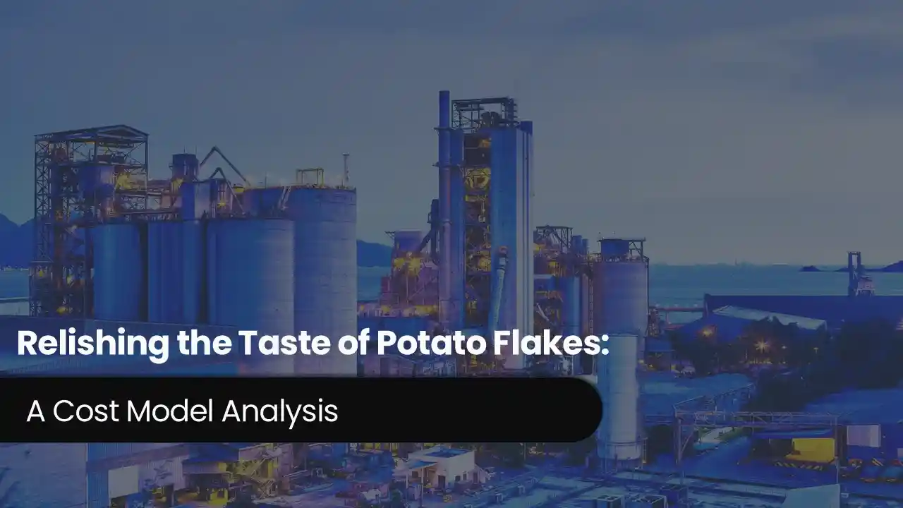Potato Flakes Manufacturing Cost Analysis Case Study